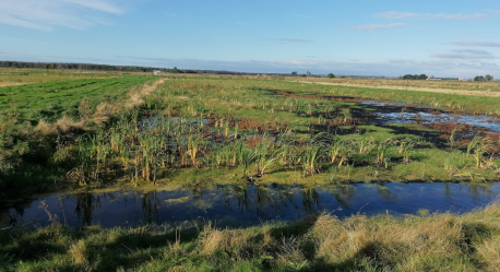 Visit to The Great Fen • New Life on the Old West