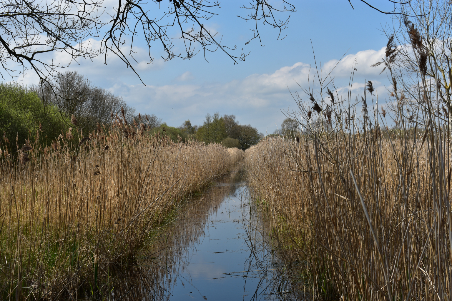 A brief history of the Fens • New Life on the Old West