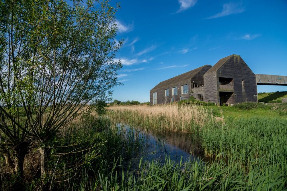 Guided Walk at WWT Welney • New Life on the Old West